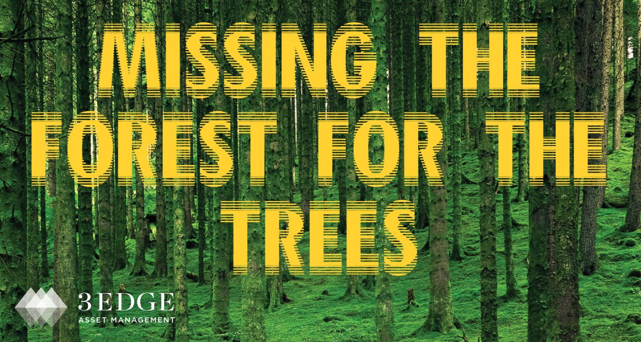 Missing the Forest For the Trees - 3EDGE Asset Management